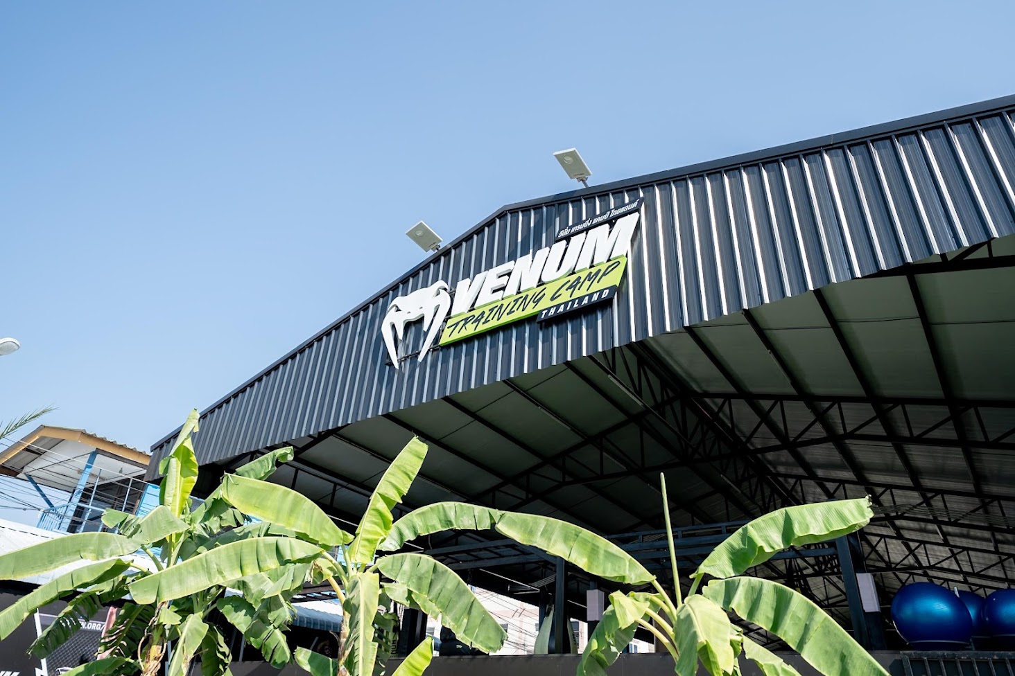 Venum Training Camp - Muay Thai Gym | MuayThaiMap